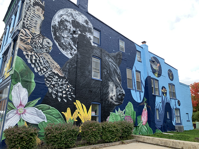 Shirt Factory owner plans ‘world-class’ mural garden | Glens Falls ...
