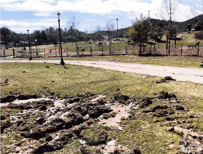 Ice Castles’ ice rink did major damage to park | Glens Falls Chronicle