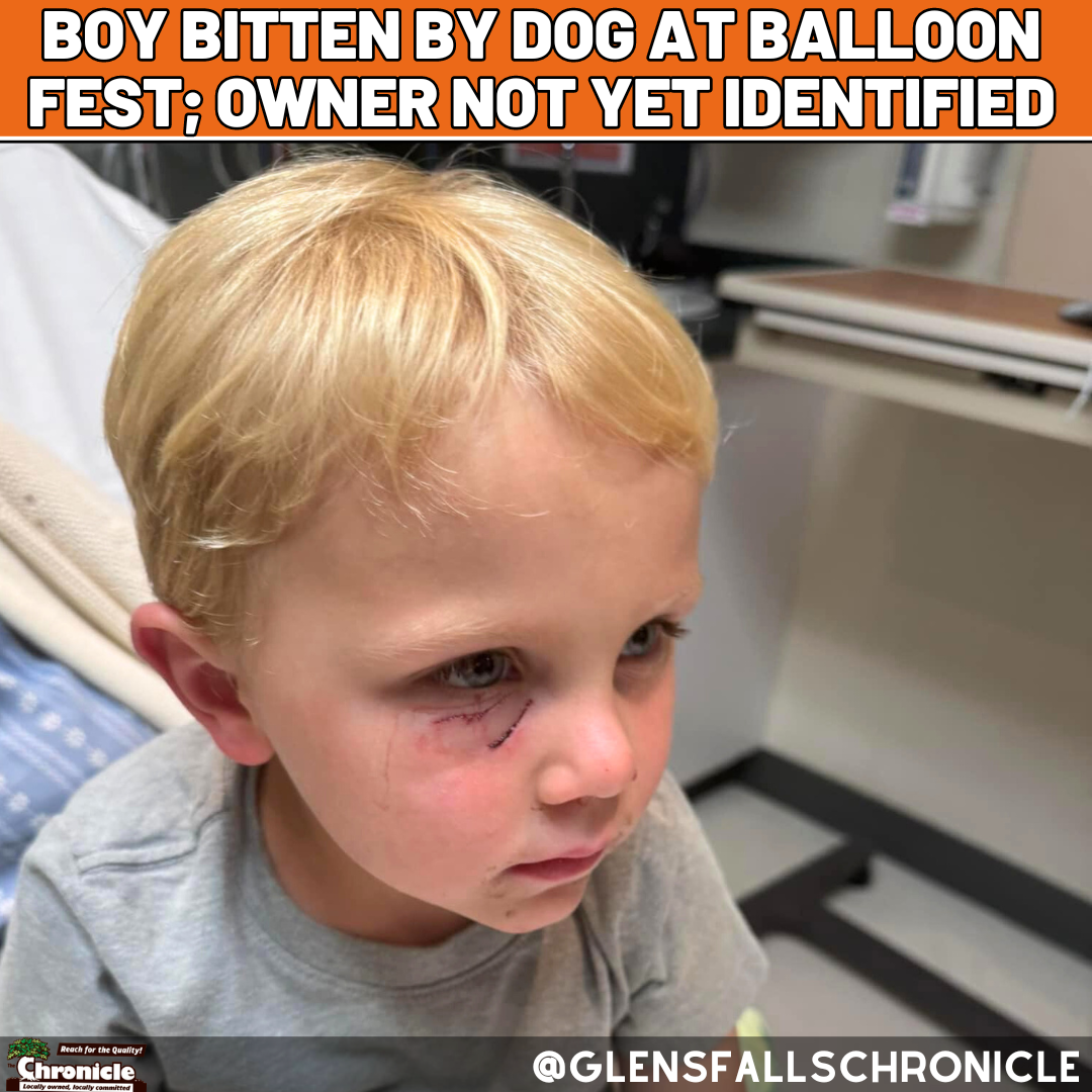 FIRST IN THE CHRONICLE: Boy bitten by dog at Balloon Fest; owner not ...