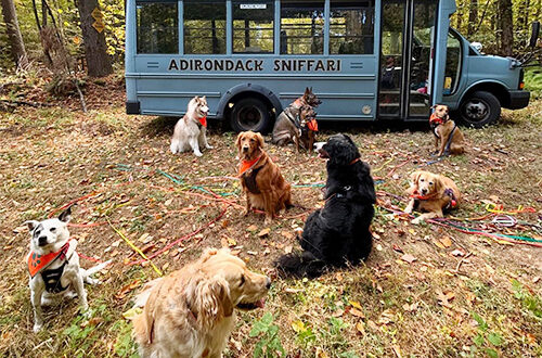 Her Adirondack Sniffari teaches all dogs new tricks | Glens Falls Chronicle